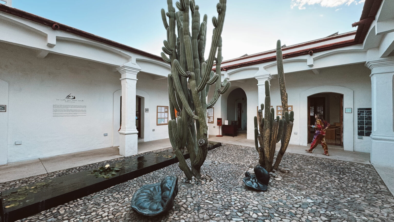 Oaxaca e dintorni: il posto più colorato del Messico | Wildflowermood ...